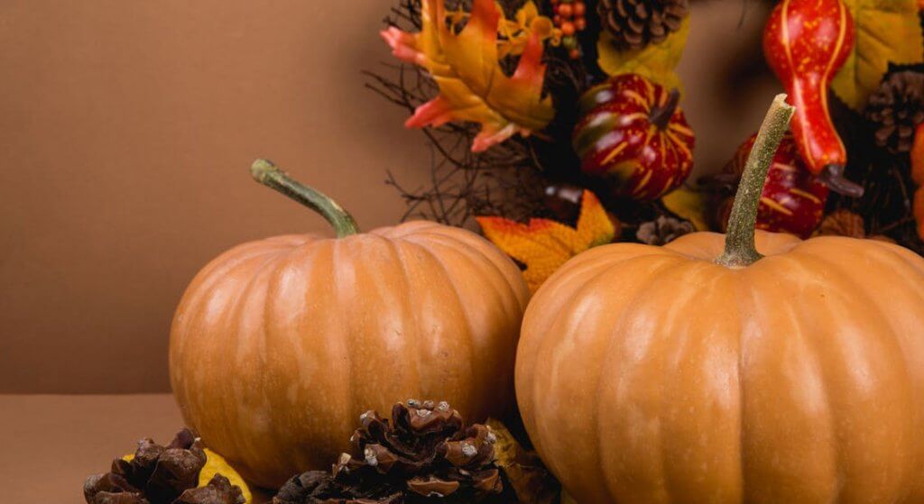 7 Tips for a Kid with Autism to Enjoy Thanksgiving | Hopebridge Autism ...